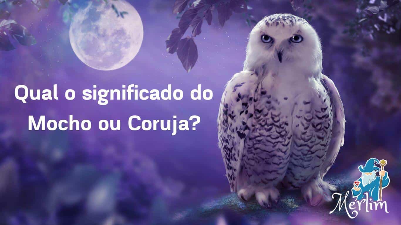 Qual o significado do Mocho? - MERLIM | Presentes com Boa Energia